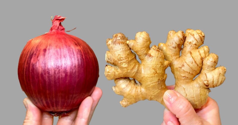 The Health Powerhouses: Ginger and Red Onion Keep Me Thriving for 35 ...