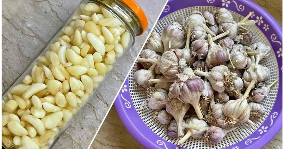 Easy Way to Peel Garlic - Dr. Barbara Health