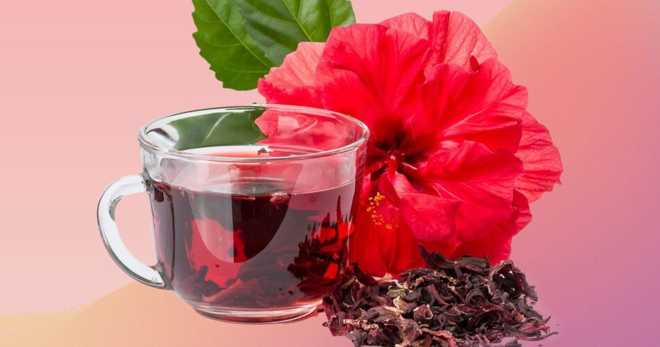 How to Make Hibiscus Tea (Herbal Healthy Tea Using Fresh Hibiscus ...