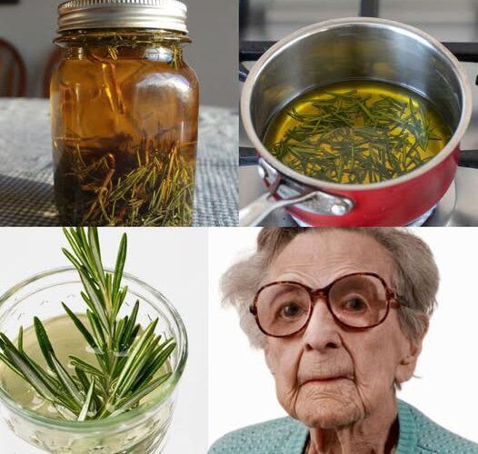 Unlock the Power of Rosemary: DIY Memory-Boosting Elixir - Dr. Barbara ...