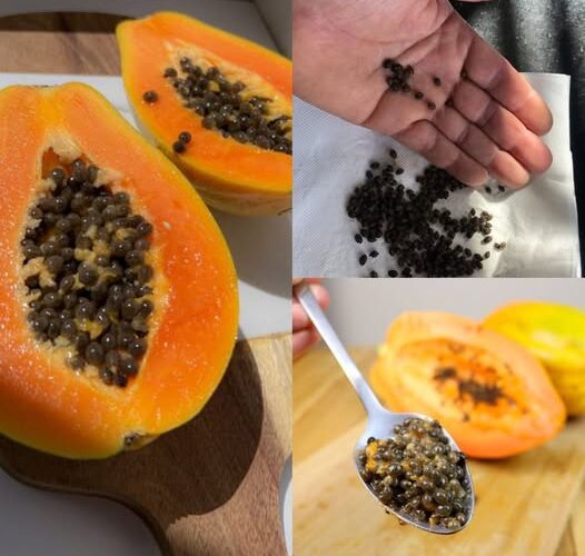19 Amazing Papaya Seeds Health Benefits for Liver, Gut & Kidneys 🌿 | Cleanse With Papaya Seeds ...