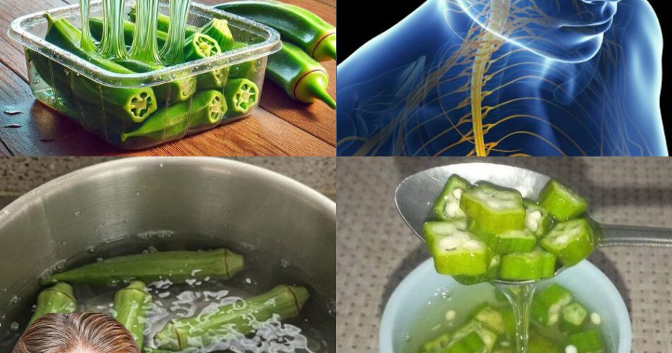10 Essential Secrets You Should Know Before Eating Okra - Dr. Barbara ...