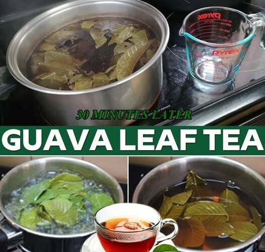 How to Prepare Guava Leaf Tea: A Simple Guide - Dr. Barbara Health