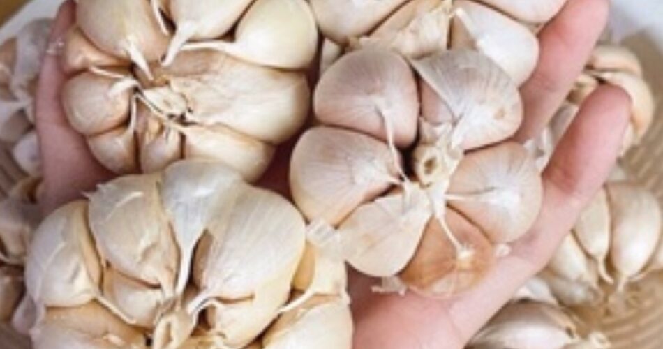 8 Common Garlic Mistakes — And How to Use It Safely for Maximum Health ...