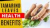 The Hidden Power of Tamarind Leaves - Dr. Barbara Health