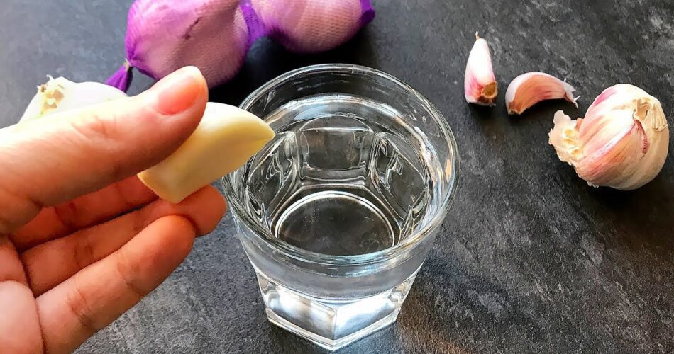 The Wonders of Garlic Water: A Simple Daily Habit with Big Benefits ...