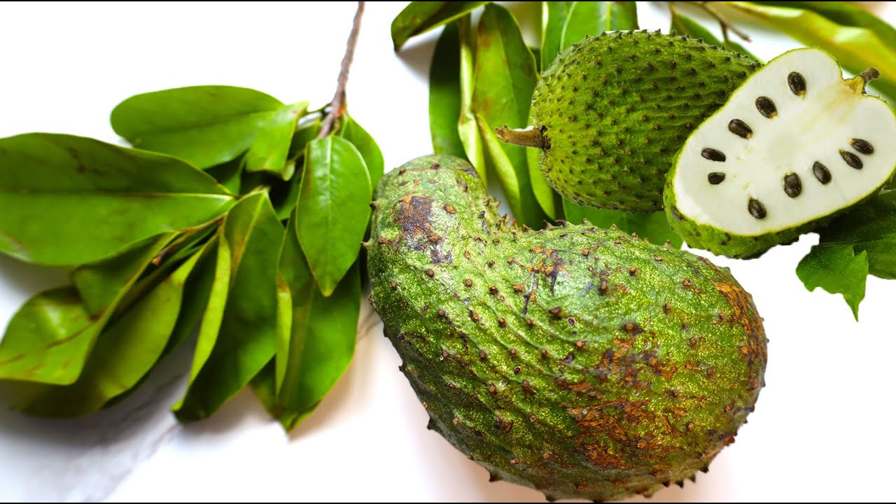 10 Health Benefits and Uses of Soursop Leaf & Fruit - Dr. Barbara Health