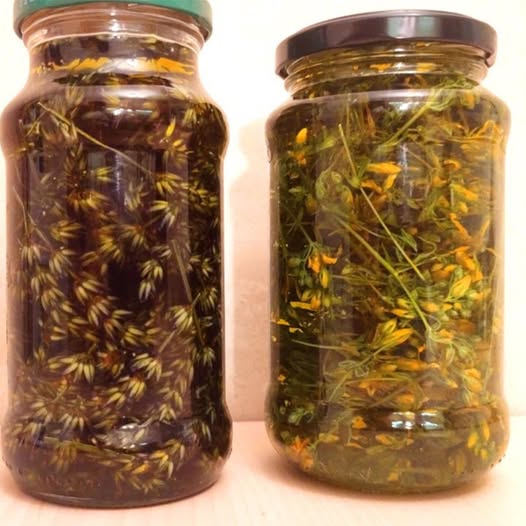 Lavender Tincture: A Must-Have Healing Remedy from Head to Toe - Dr ...