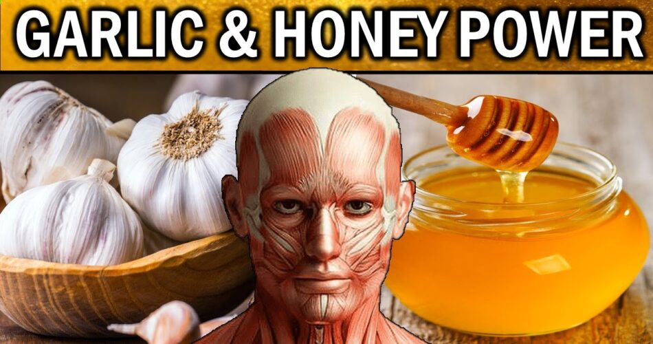 8 POWERFUL Health Benefits of Garlic & Honey on an Empty Stomach! - Dr. Barbara Health