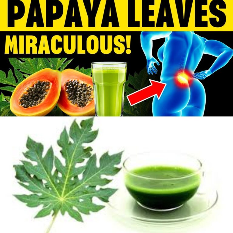 11 Surprising Benefits of Papaya Leaves You Need to Know! - Dr. Barbara Health