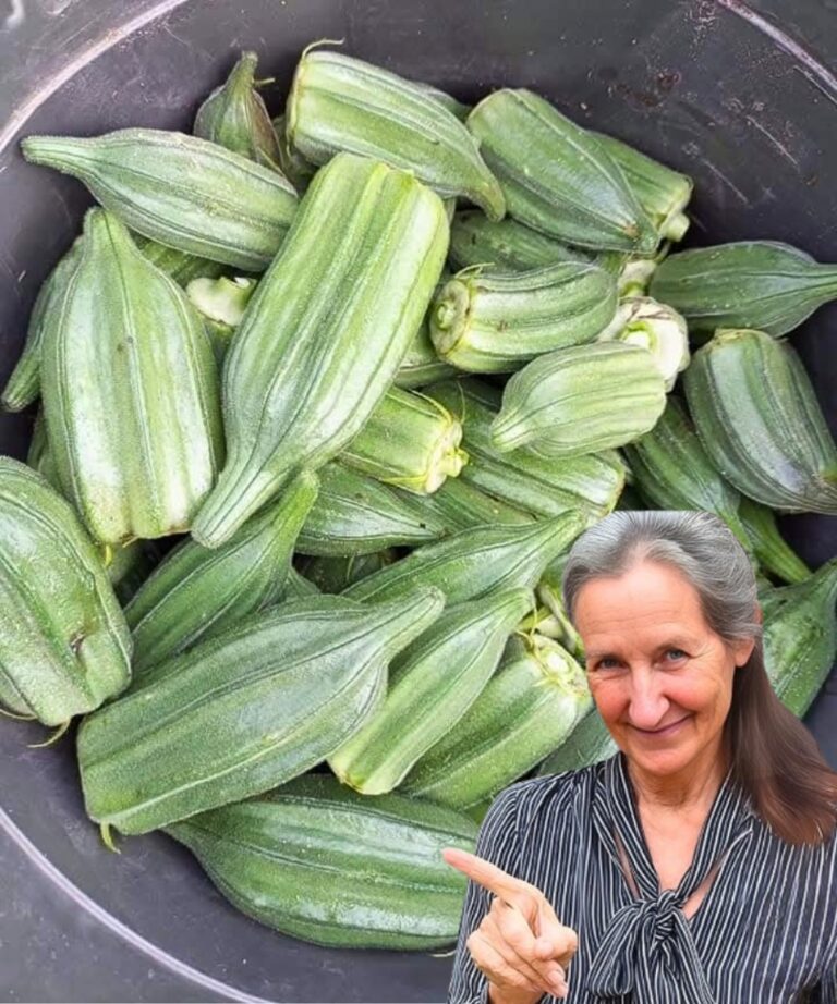 9 Reasons Why You Should Eat Okra Multiple Times a Week - Dr. Barbara ...