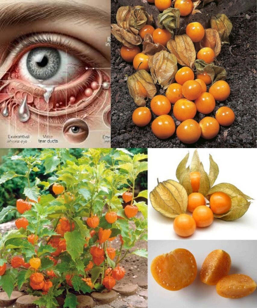 This underestimated wonder of nature is actually a real-life treasure ...