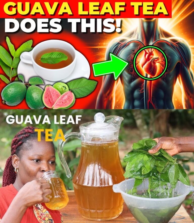 Guava Leaves 12 Benefits and Uses - Dr. Barbara Health