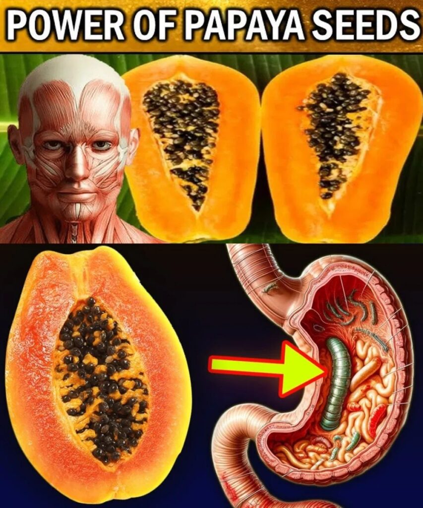 How Papaya Seeds Can Erase 10 Common Health Issues - Dr. Barbara Health