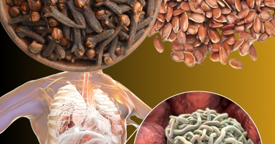 How to Get Rid of Intestinal Parasites (Recipe with Clove and Flax ...