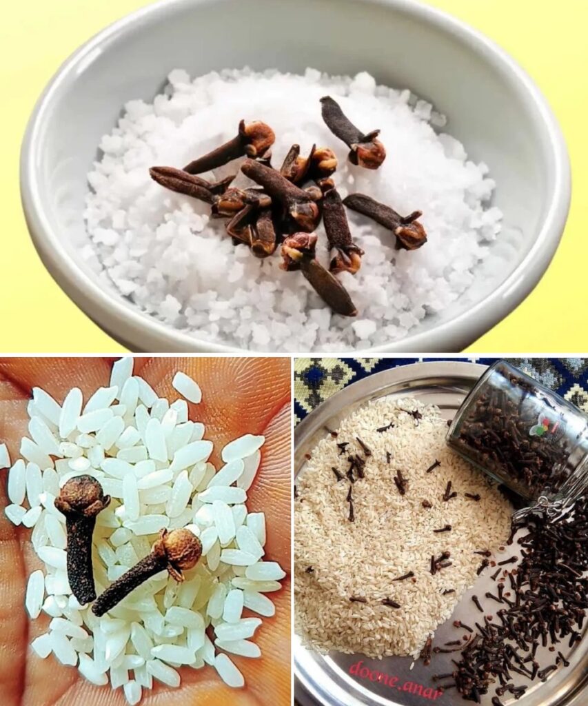 Say Goodbye to Weevils 5 Natural Hacks to Protect Your Rice and Beans ...