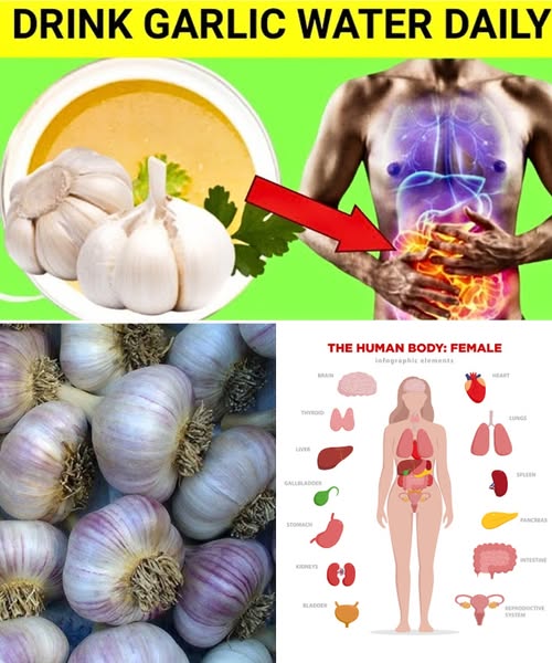 Start Your Day with Garlic Water The Simple Morning Habit with ...