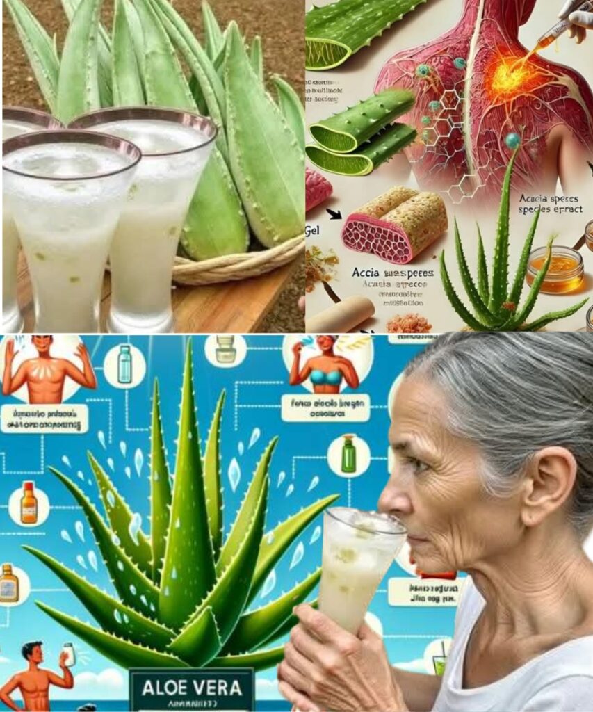 10 Amazing Benefits of Drinking Aloe Vera Water Daily - Dr. Barbara Health