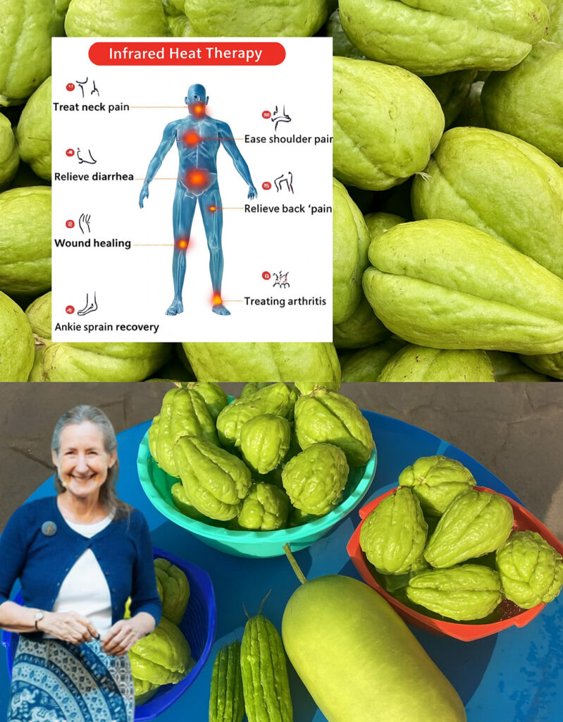 13 Surprising Health Benefits of Chayote Juice You’ll Wish You Knew ...
