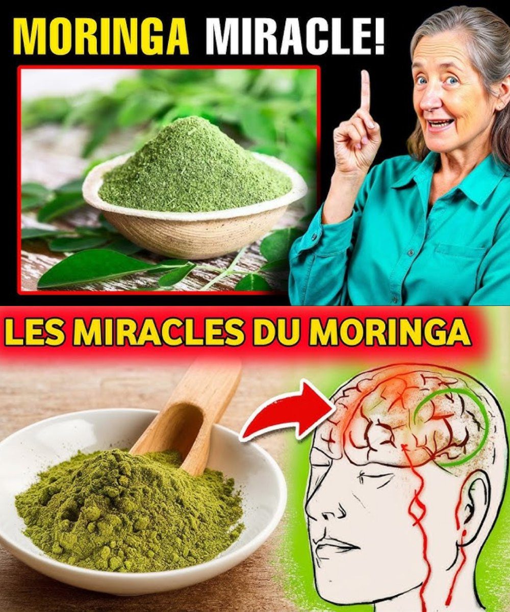 Eat Moringa Powder DAILY for 2 Weeks – See What Happens to Your Body ...
