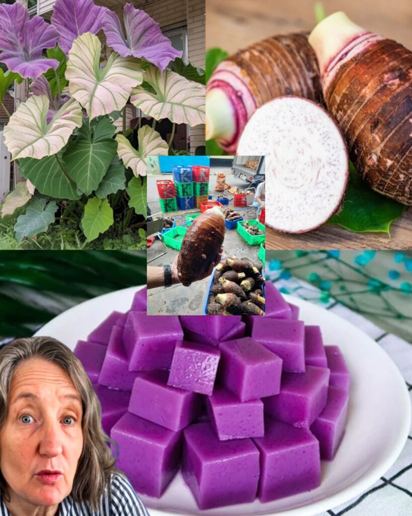 Purple Taro The Vibrant Root with Powerful Health Benefits - Dr ...