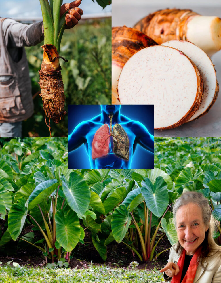 Taro Unraveled The Hidden Power of This Ancient Root! - Dr. Barbara Health