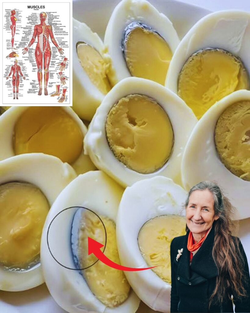 Why Does a Green Ring Appear Around a Boiled Egg Yolk The Science Behind This Kitchen Mystery ...